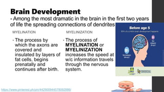 Module 12 INFANCY AND TODDLERHOOD | PPTX