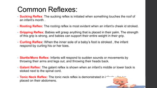 Module 12 INFANCY AND TODDLERHOOD | PPTX