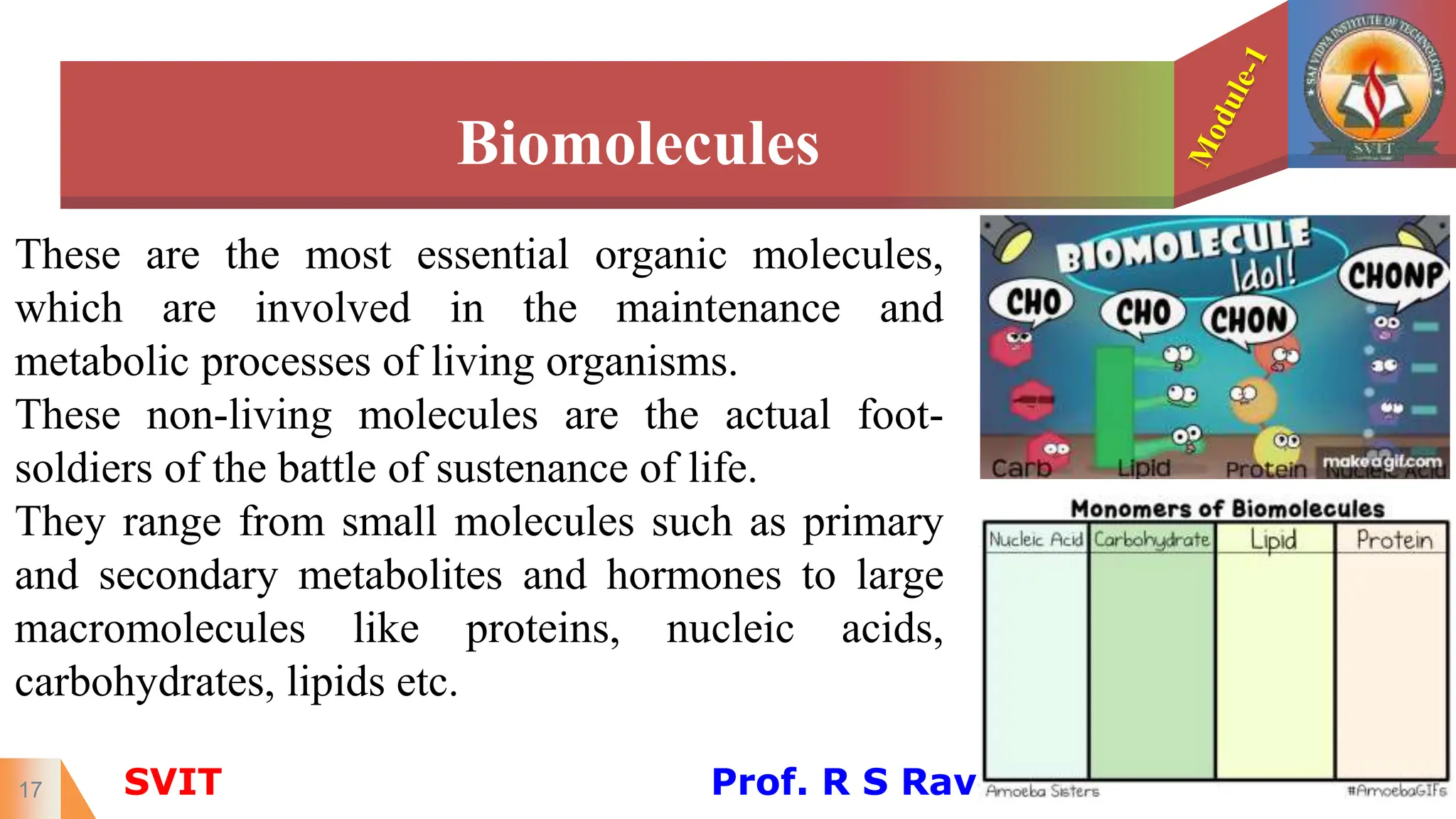 Module-1 Bio for Engineering, CELL-Basic unit of life | PPTX
