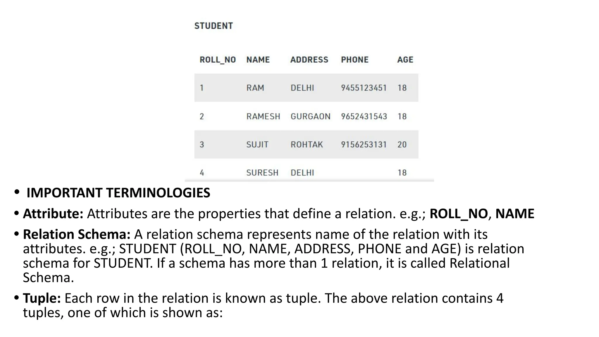 Basics of DBMS - Traditional File System | PDF