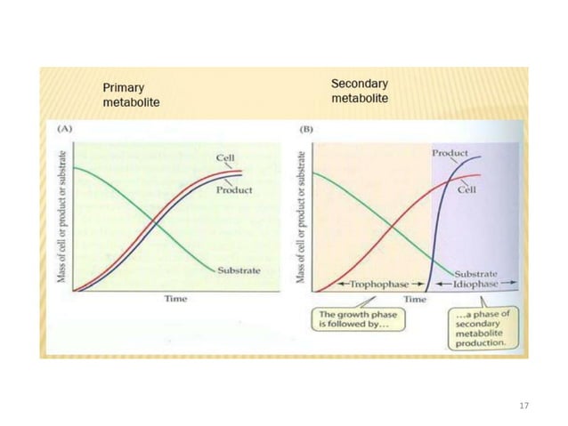 Module-1_Introduction & Growth Curve – The Basics.pdf