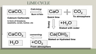 module- 2.pdf