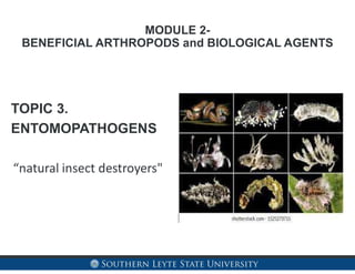 mODULE 2: Beneficial-Arthropods-Biocon-Agents.pdf