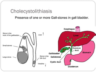 Module 2 Anatomy & Diseases | PPT