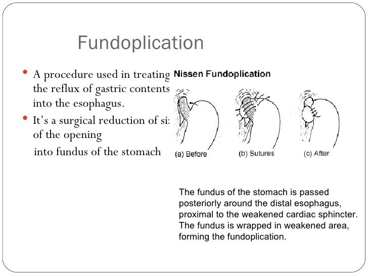 Module 2 Anatomy & Diseases