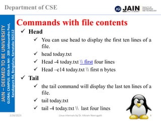 Linux File Trees and Commands | PDF