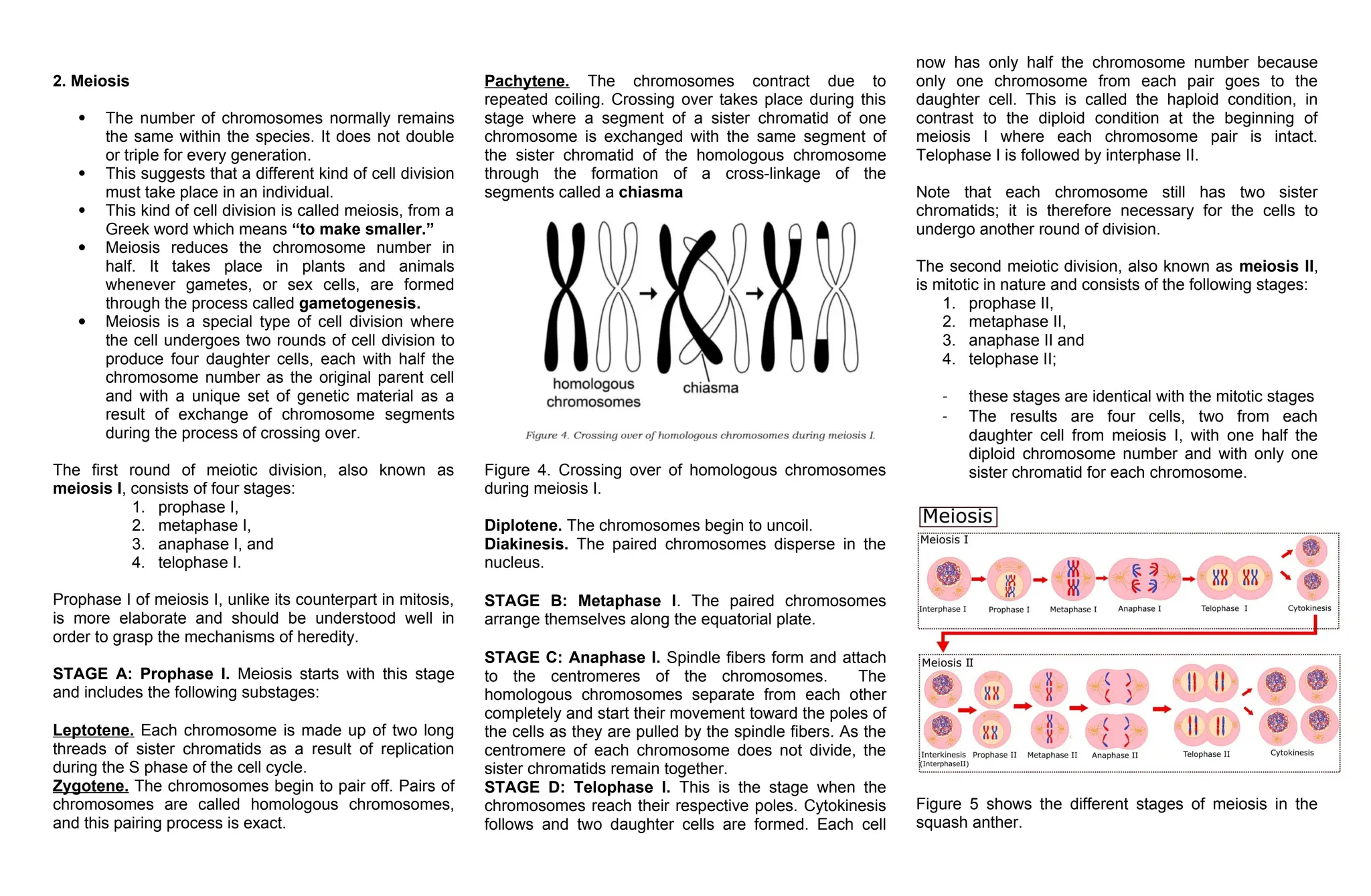 Module-2-Mitosis-andmeiosis and principle of inheritance that includes ...