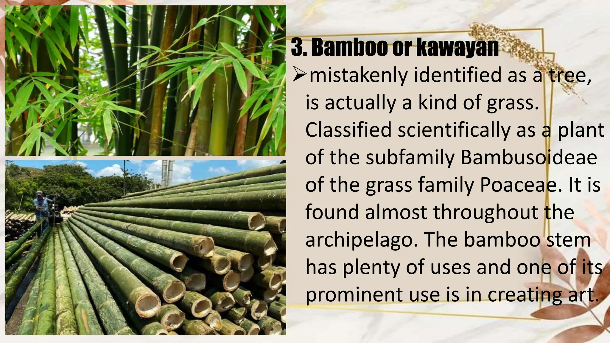 Contemporary arts local materials used in creating | PPTX