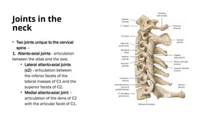 Module -2- Structure - Of the neck -pptt | PPTX