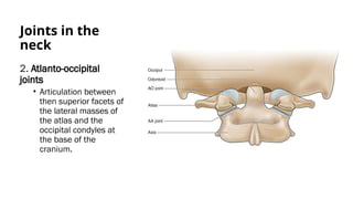 Module -2- Structure - Of the neck -pptt | PPTX