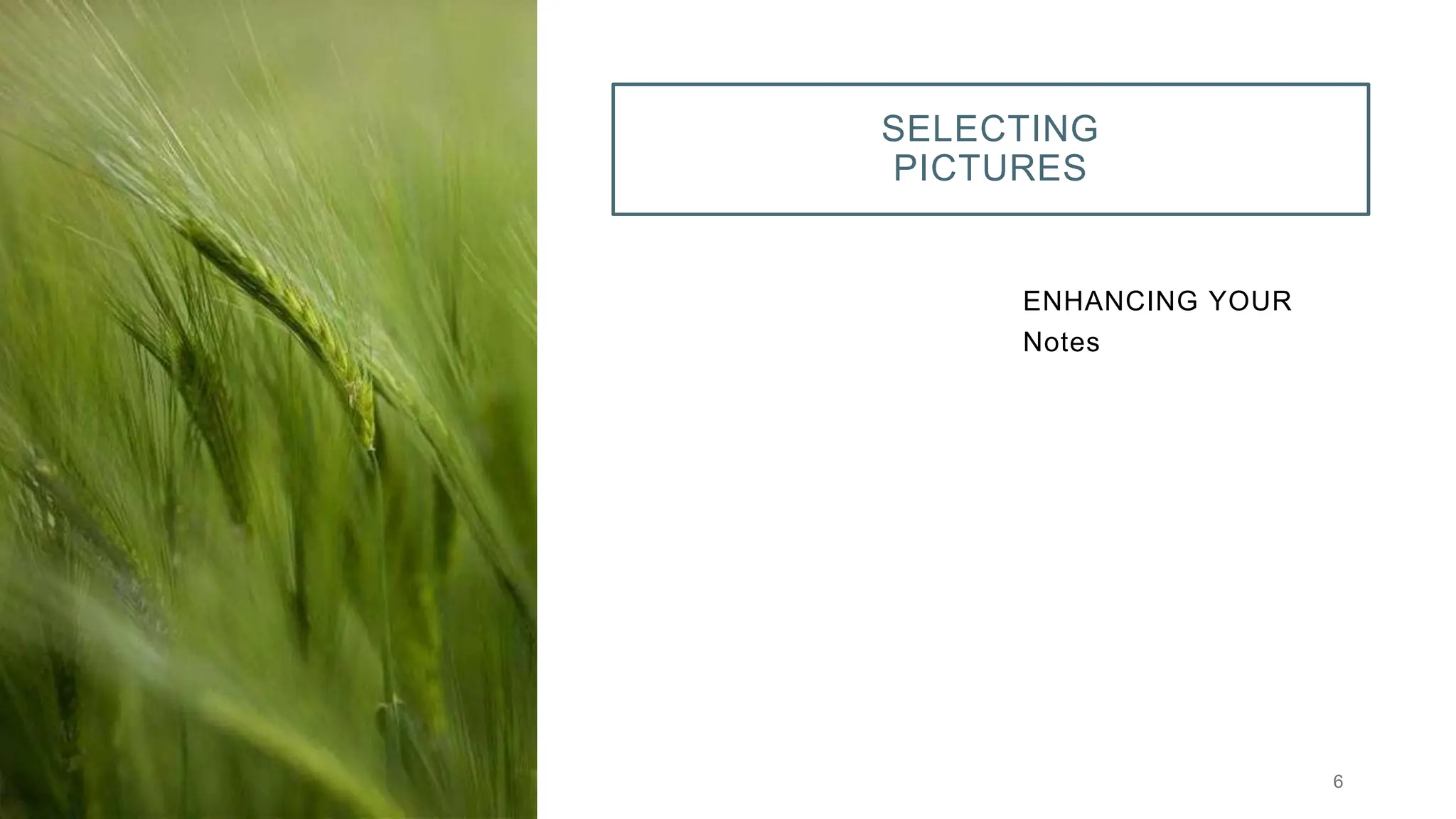 Module of electrical engineering and computer science in college .pptx