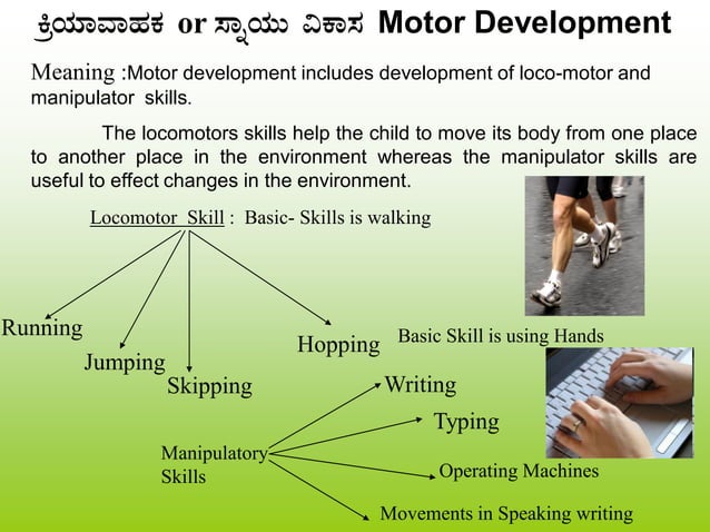 Module 2 educational psychology-physical and motor development | PDF ...
