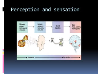 Module 2 perception and learning | PPTX | Artificial Intelligence ...