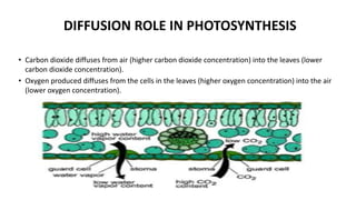 Module- 3 notes araling panlipunan .pptx