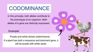 MODULE-3-Mendelian-Genetics-part-3..pptx