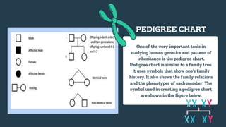MODULE-3-Mendelian-Genetics-part-3..pptx