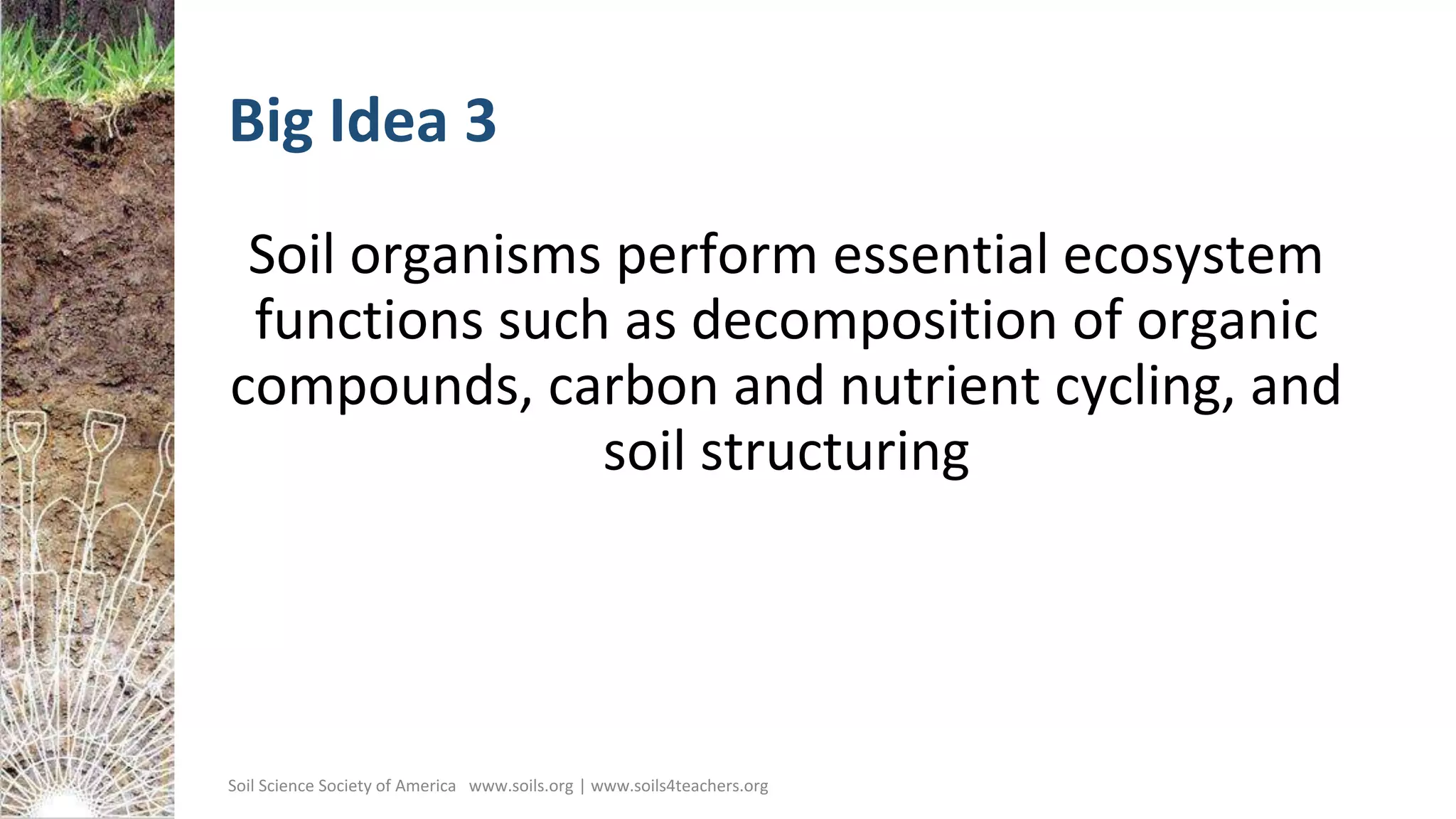 soil-biology.pptx