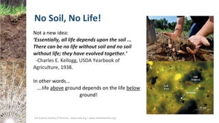 soil-biology.pptx