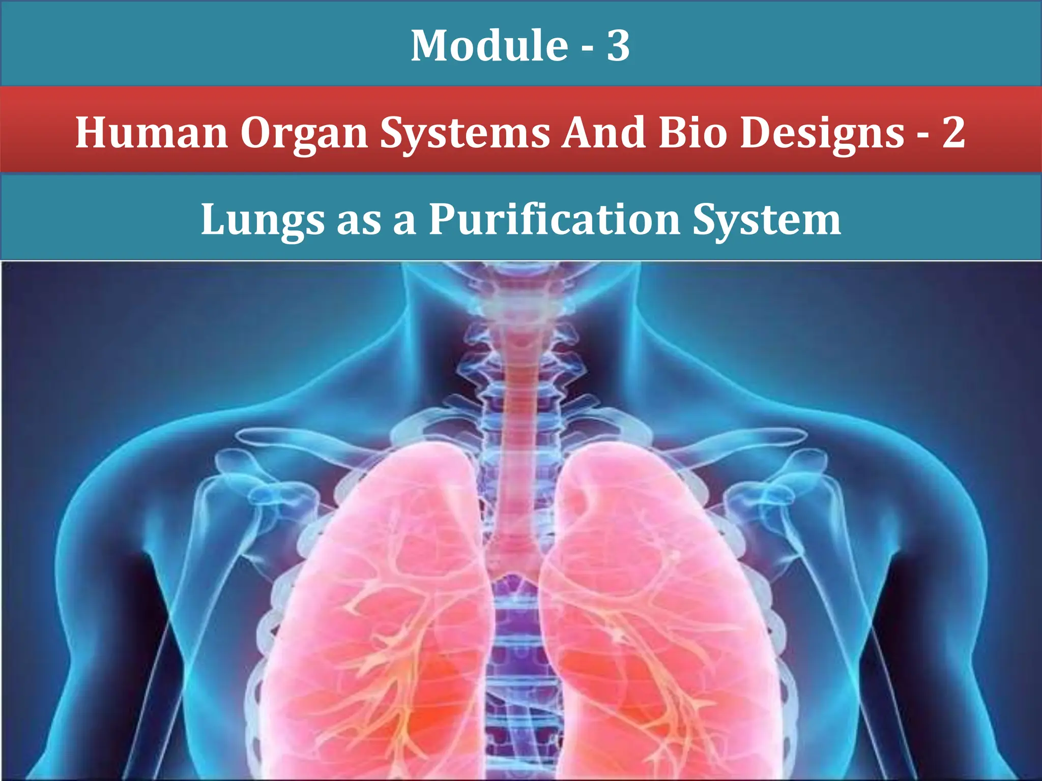Module - 3 Lungs as a Purification System.pptx