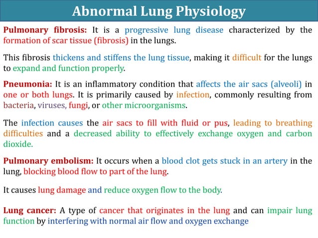 Module - 3 Lungs as a Purification System.pptx