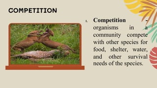Module-4-Interactions-Among-Organisms-in-a-Community-ppt..pdf