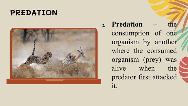 Module-4-Interactions-Among-Organisms-in-a-Community-ppt..pdf