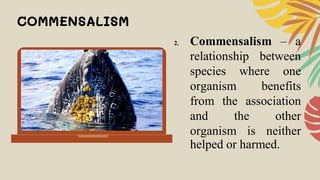 Module-4-Interactions-Among-Organisms-in-a-Community-ppt..pdf