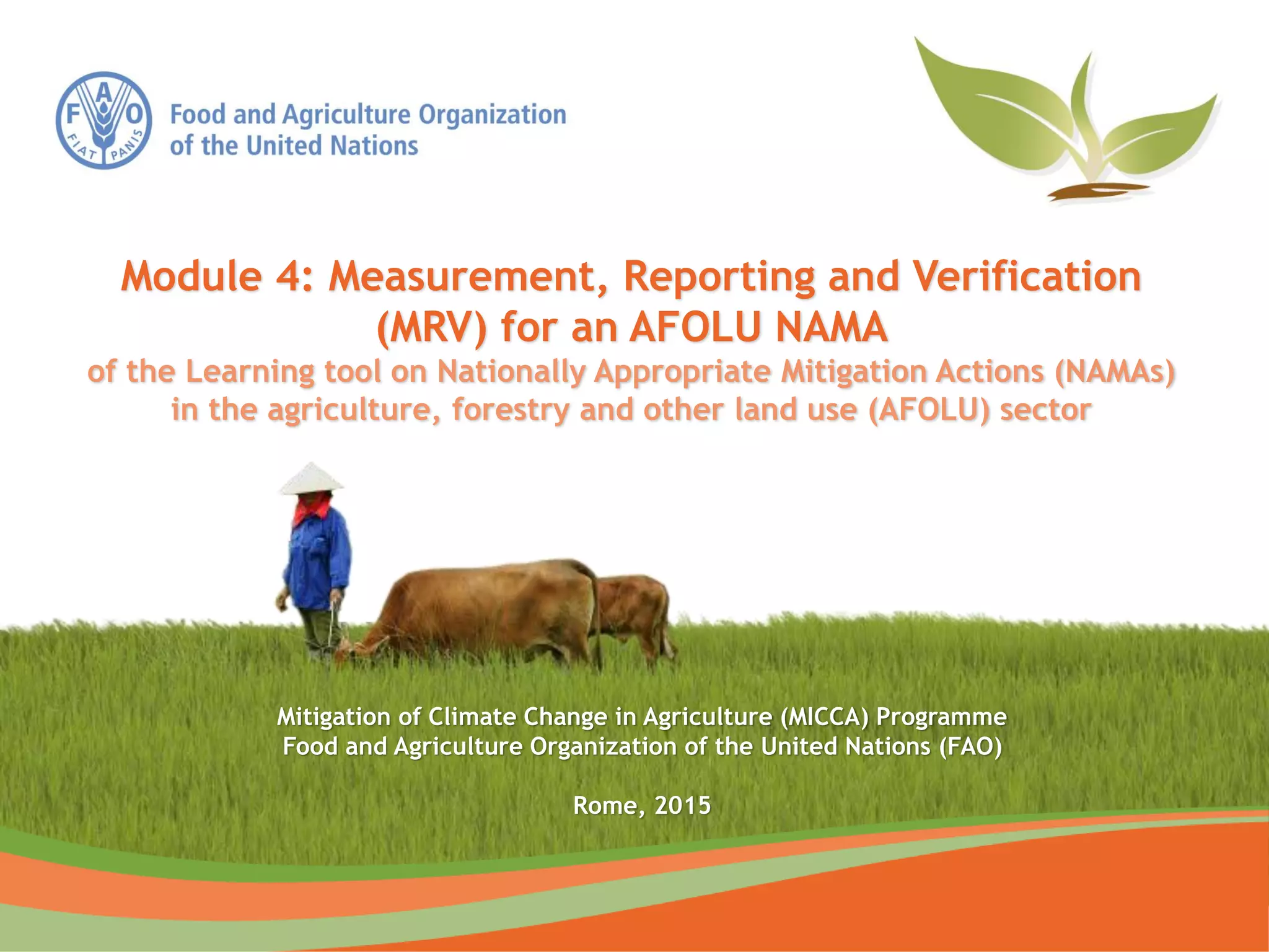 Module 4: Measurement, Reporting and Verification (MRV) for an AFOLU ...