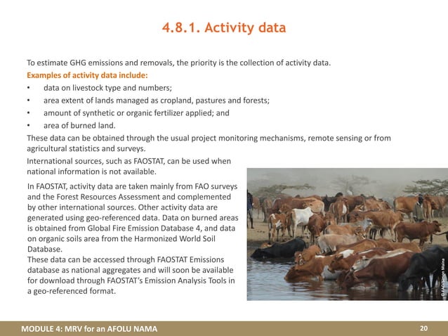 Module 4: Measurement, Reporting and Verification (MRV) for an AFOLU ...