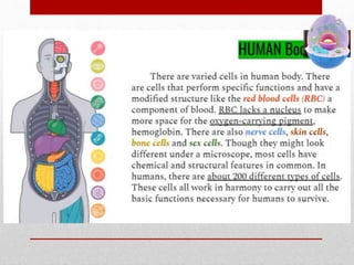 Module 4-plant-and-animal-cell-discussion | PPTX