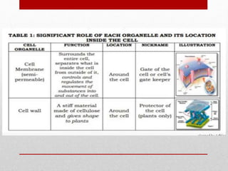 Module 4-plant-and-animal-cell-discussion | PPTX