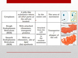 Module 4-plant-and-animal-cell-discussion | PPTX