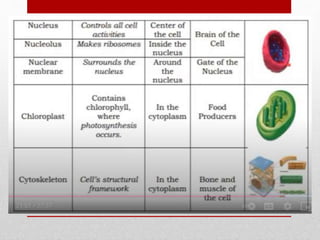 Module 4-plant-and-animal-cell-discussion | PPTX