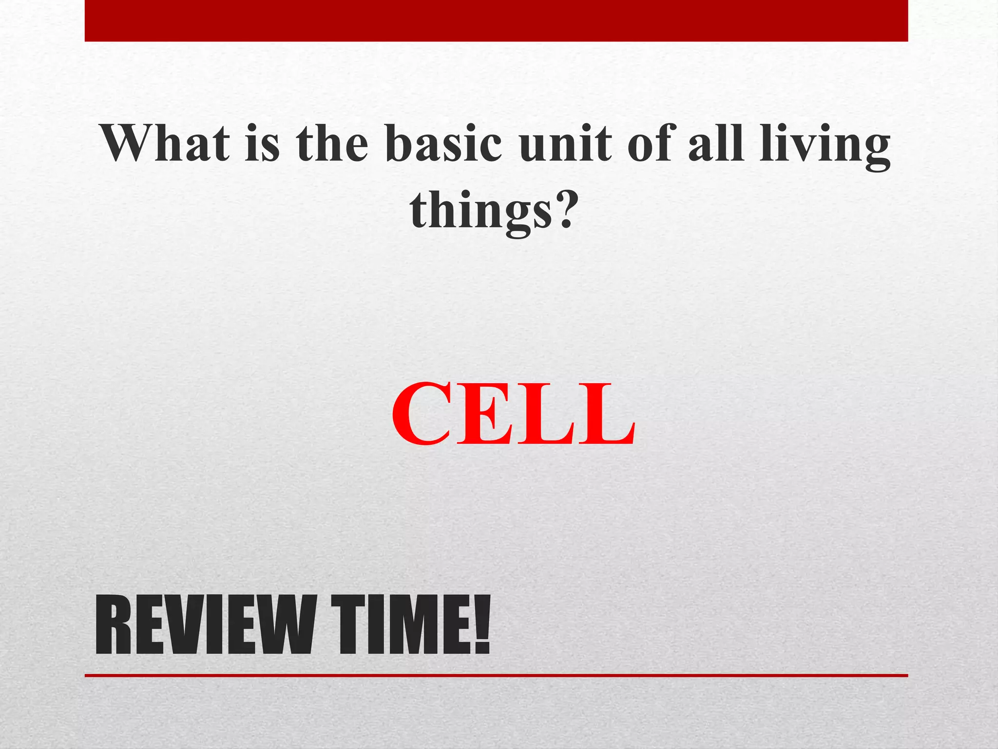 Module 4-plant-and-animal-cell-discussion | PPTX