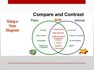 Module 4-plant-and-animal-cell-discussion | PPTX
