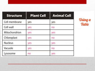Module 4-plant-and-animal-cell-discussion | PPTX