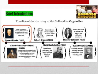 Module 4-plant-and-animal-cell-discussion | PPTX