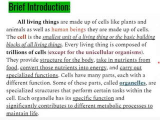 Module 4-plant-and-animal-cell-discussion | PPTX