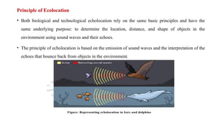 Module - 4 VTU Biology for Engineers.pptx