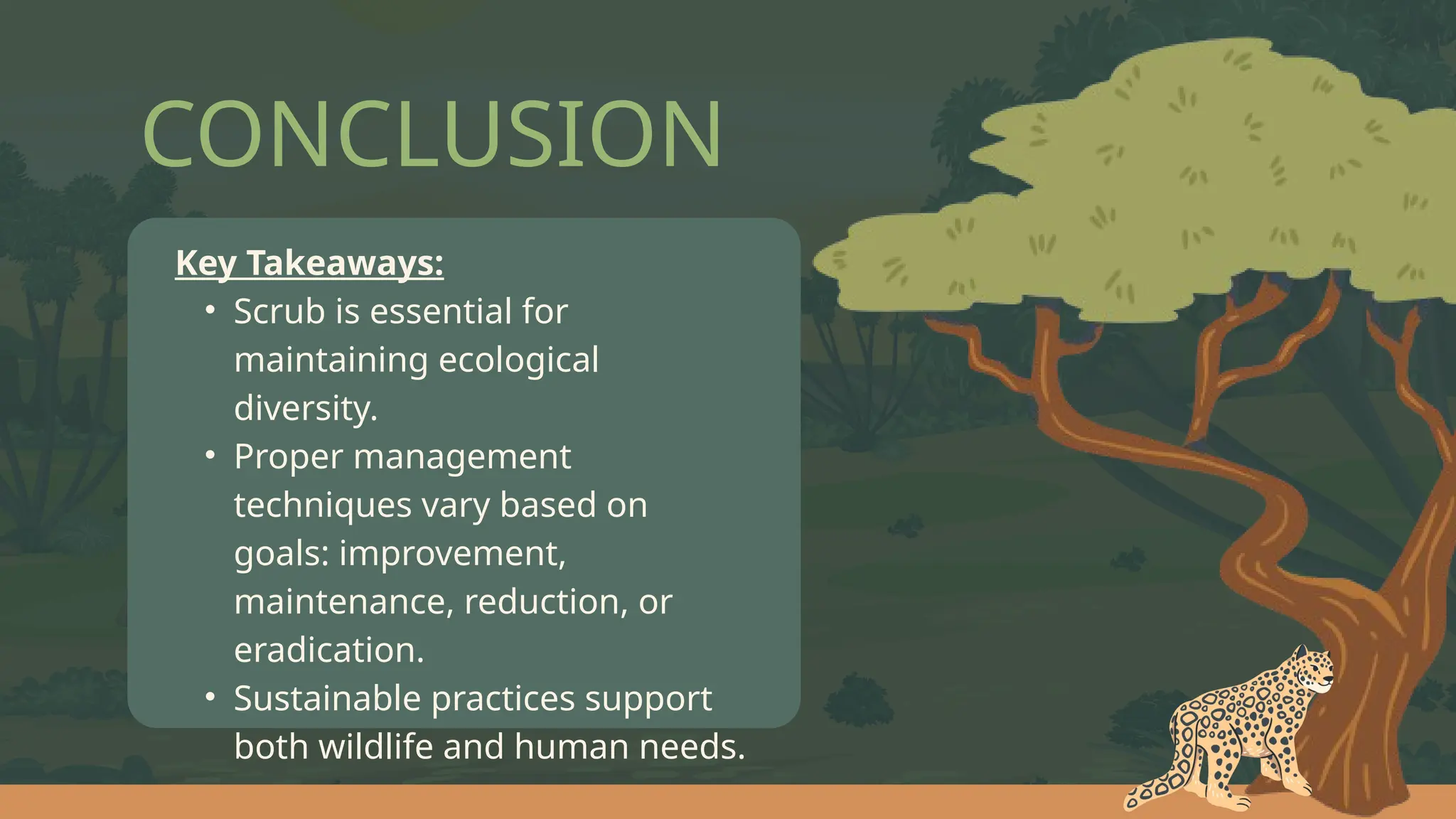 Ecosystem: Importance of Grassland and Scrub | PPTX