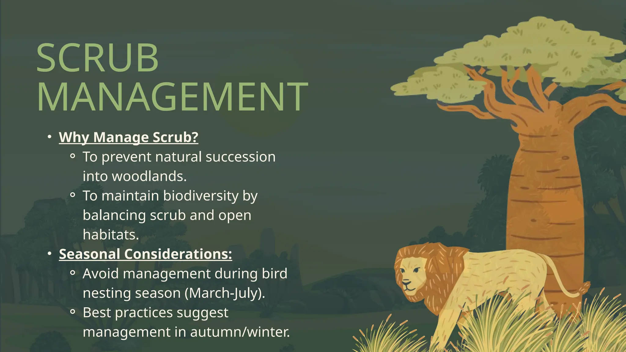Ecosystem: Importance of Grassland and Scrub | PPTX