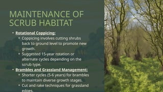 Ecosystem: Importance of Grassland and Scrub | PPTX