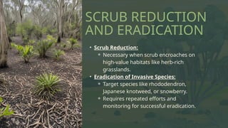 Ecosystem: Importance of Grassland and Scrub | PPTX