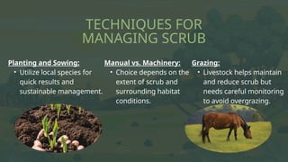 Ecosystem: Importance of Grassland and Scrub | PPTX