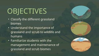 Ecosystem: Importance of Grassland and Scrub | PPTX