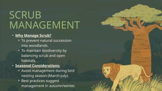 Ecosystem: Importance of Grassland and Scrub | PPTX