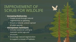 Ecosystem: Importance of Grassland and Scrub | PPTX