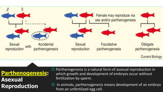 Module 5-asexual-vs-sexual-reproduction | PPTX