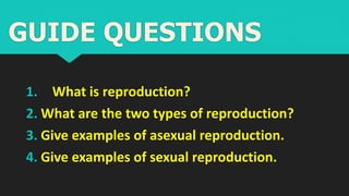 Module 5-asexual-vs-sexual-reproduction | PPTX