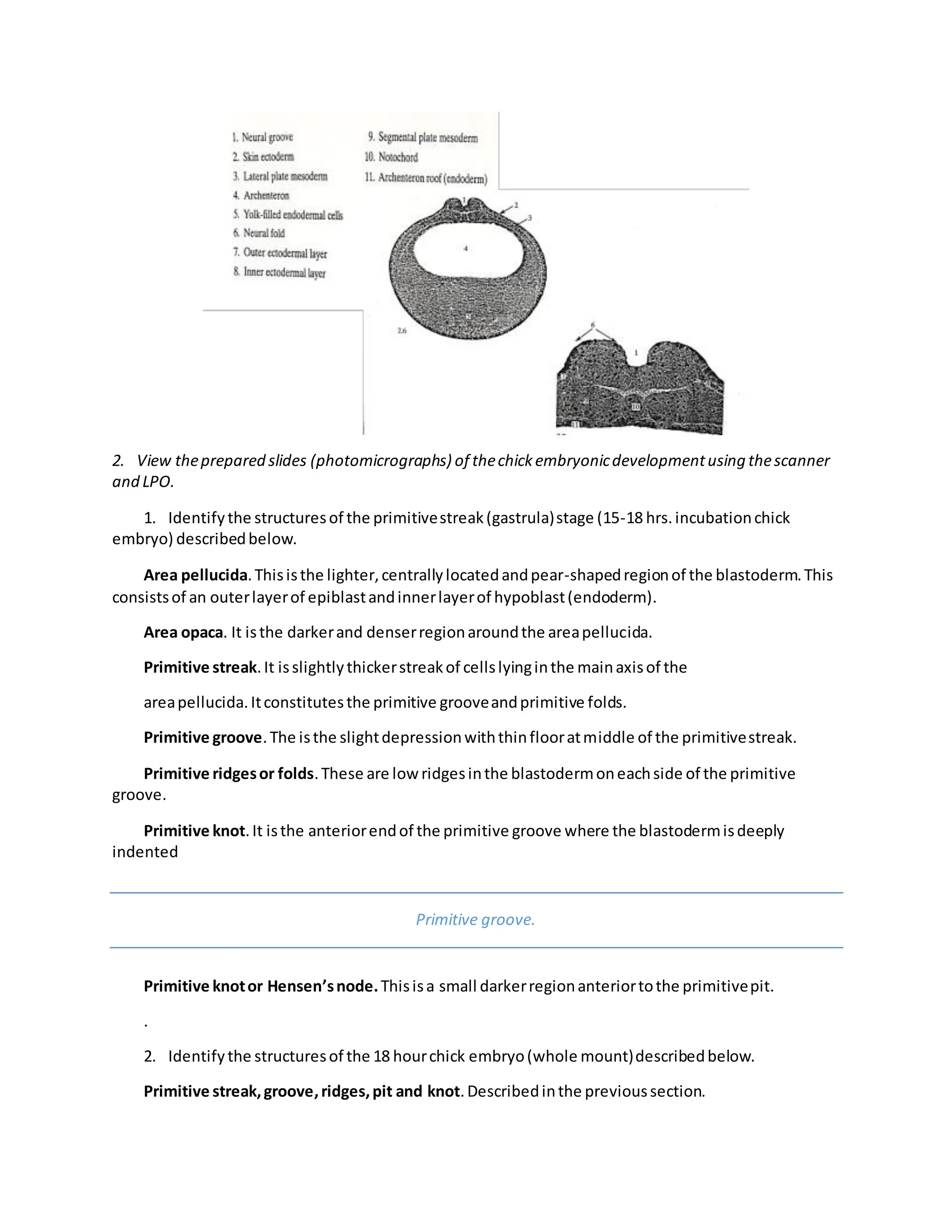 Module-6-Gastrulation-and-Neurulation.pdf